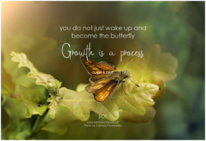 CONSTANTLY EVOLVING - HOPE TO INSPIRE YOU